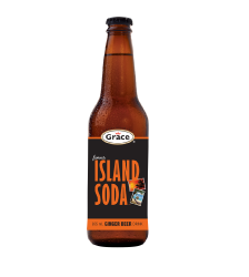 Ginger Beer Island Soda - 355ml – CaribbeanFood.Ca